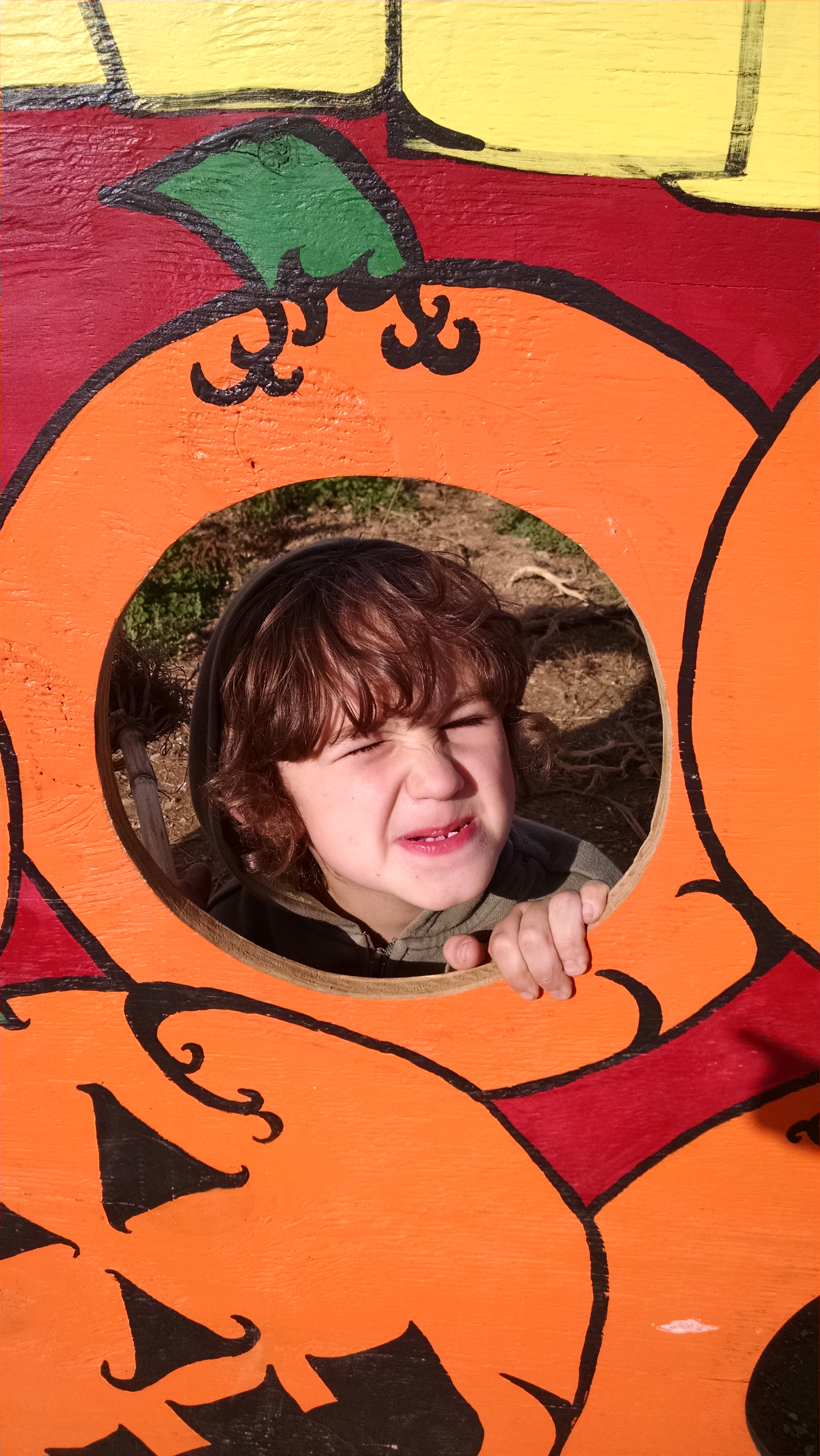 Squash: Cook It, Craft It, Grow It | MomsRising