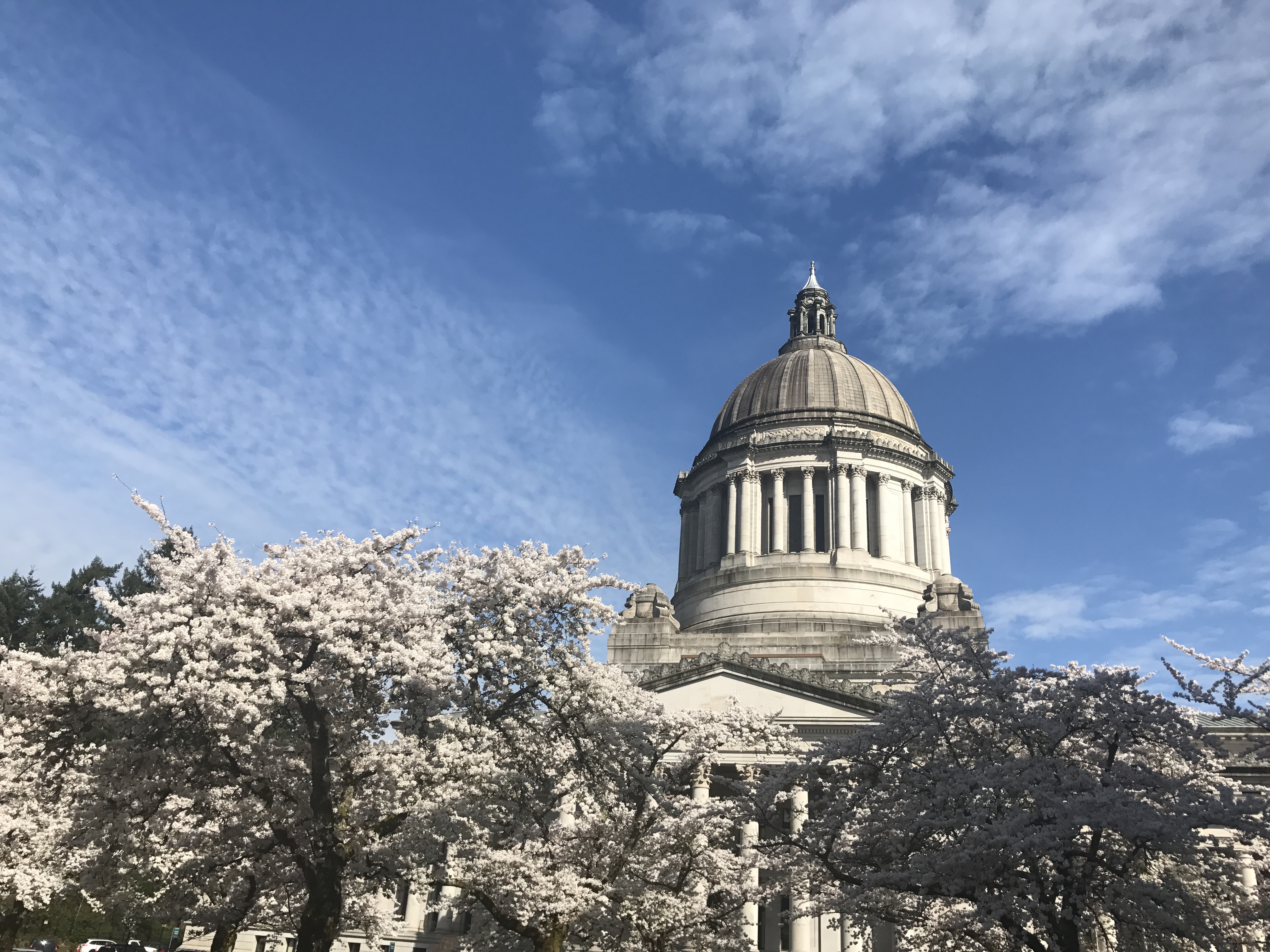 Washington’s PFML program is experiencing significant delays | MomsRising