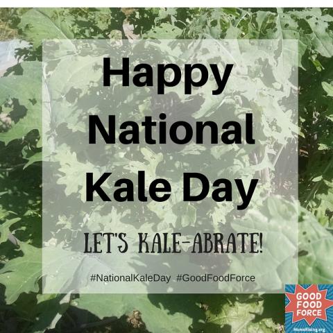 Year in the Family Garden: Growing Kale! #National Kale Day | MomsRising
